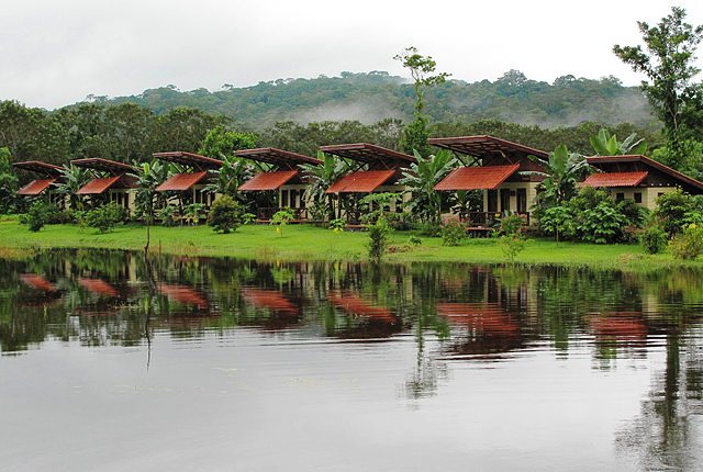 Maquenque Eco-Lodge is a top Costa Rica bird watching hotel.