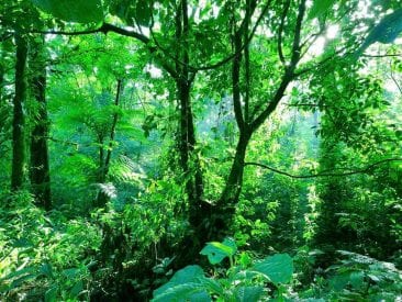 Costa Rica´s Green Season! 5 Reasons to Visit. | Enchanting Costa Rica
