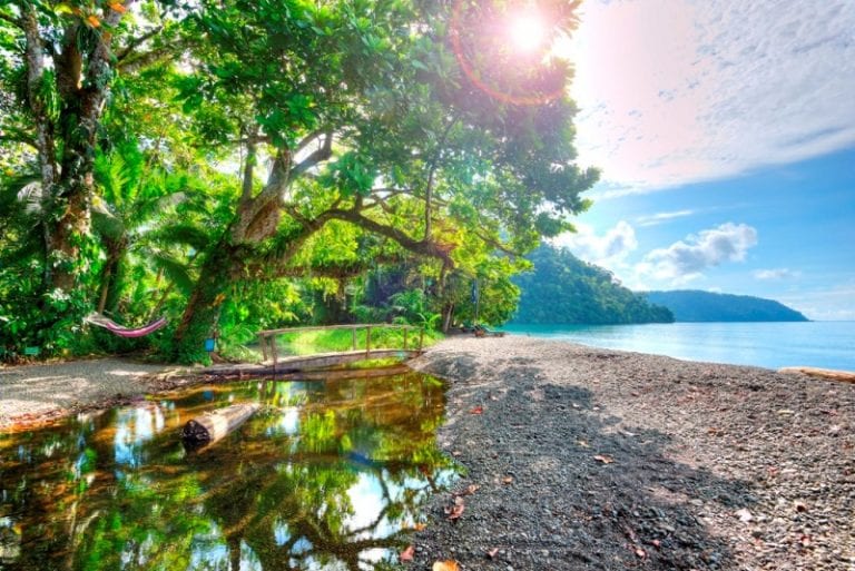 5 Ways to Get Closer to Nature in 2018 | Enchanting Costa Rica