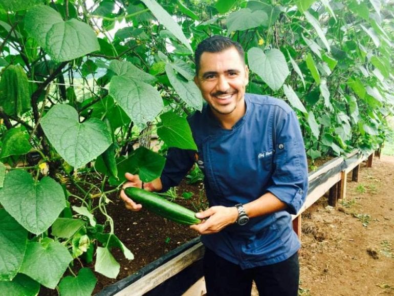 Eco-friendly Eating Meets Avant-Garde Cuisine in Santa Teresa ...